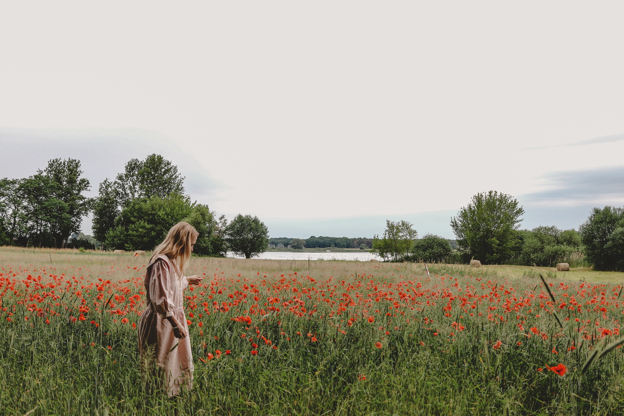 Kolumne: Was uns frei macht – und warum ich Sirtaki im Mohnfeld tanze ...