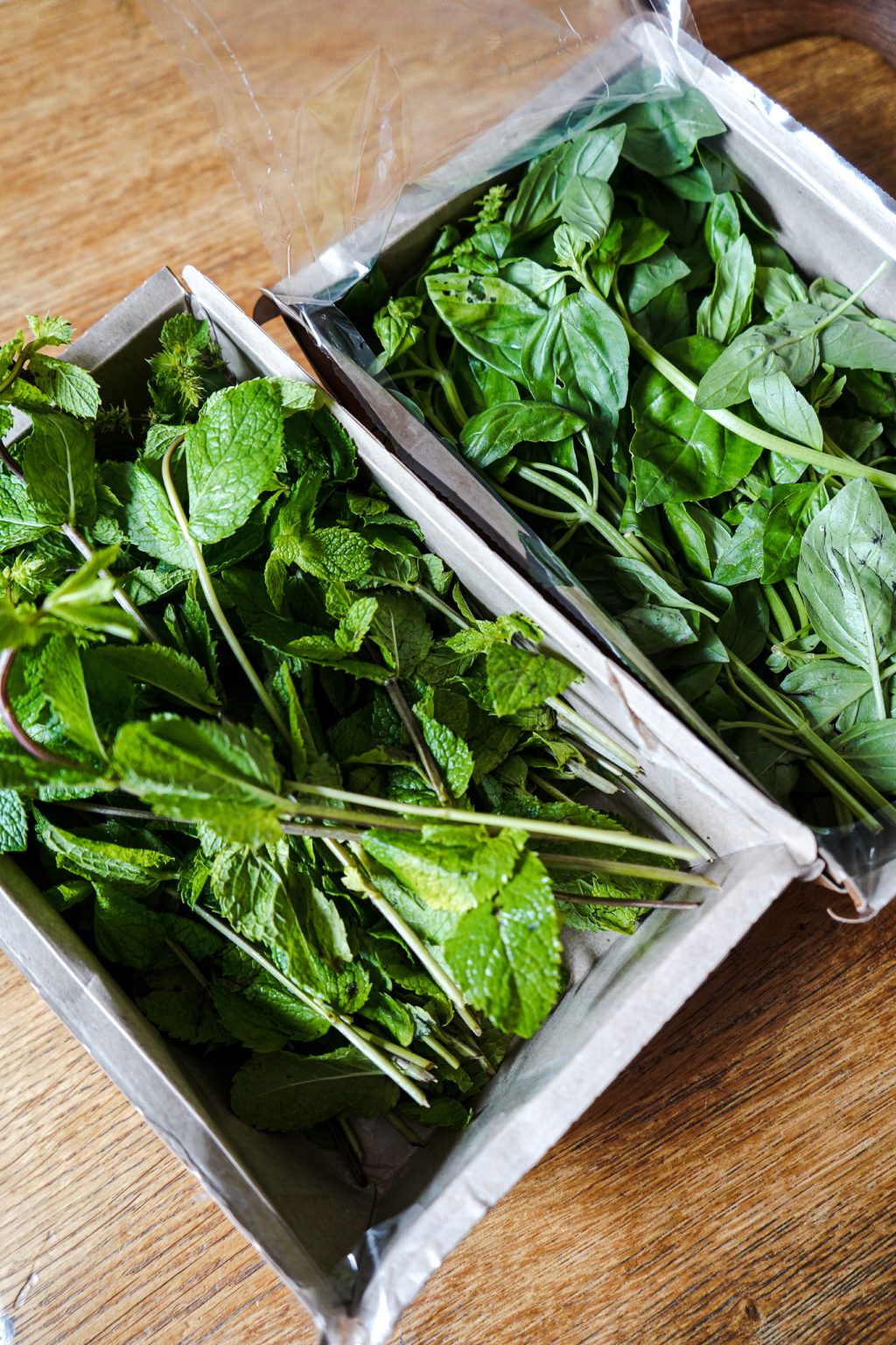 Schöner Salat mit Kräutern, Zuckerschoten und Büffelmozzarella ...